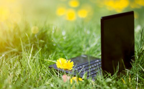 What Makes a Strong Instructional Leadership Team? | New Leaders Blog